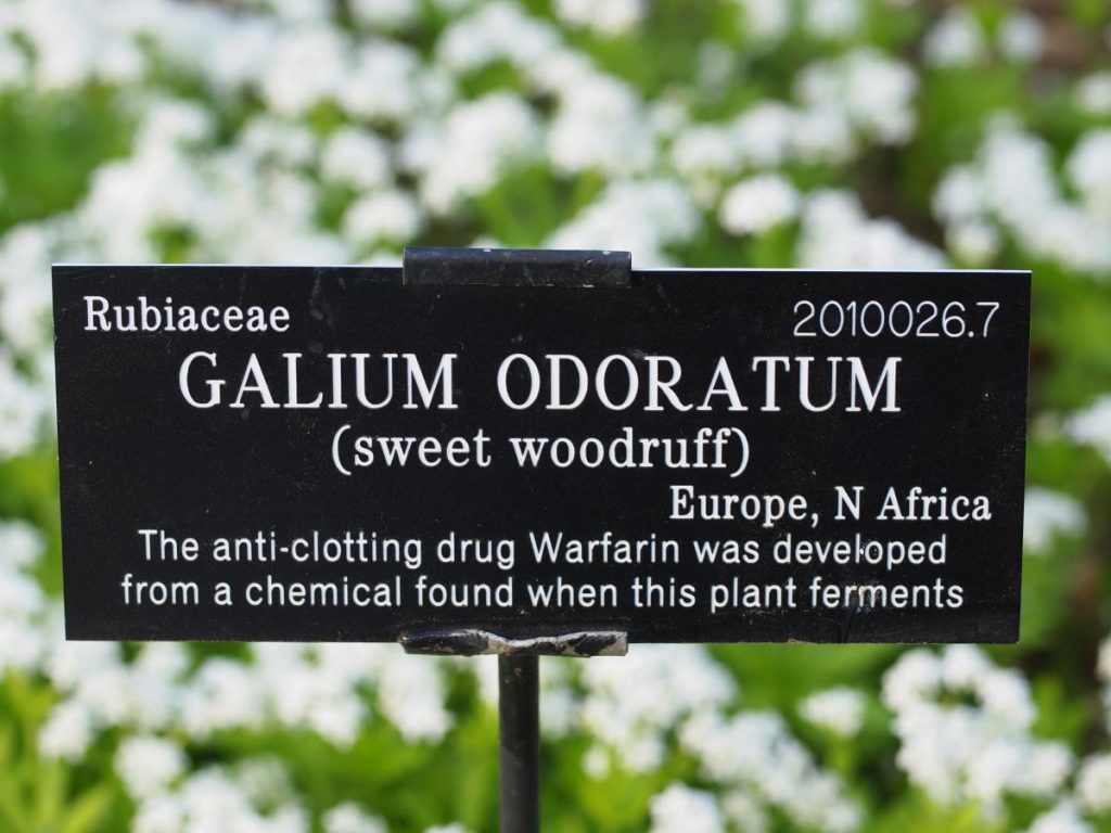 Botanical Display Labels | Permanent Botanical Labels Murrplastik Labelling